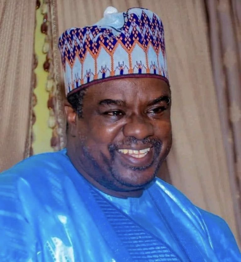 Ibrahim Turaki Biography, Age, Career and Net Worth – Contents101