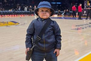 Hasbulla Magomedov Biography, Education, Career, Controversies, And Net ...