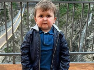 Hasbulla Magomedov Biography, Education, Career, Controversies, And Net ...