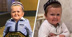 Hasbulla Magomedov Biography, Education, Career, Controversies, And Net ...