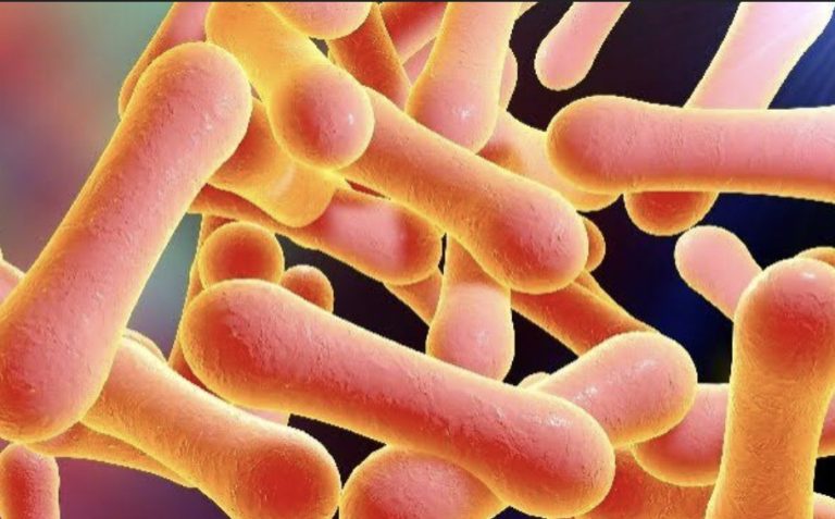 What is Diphtheria: Causes, Symptoms, Treatment and Prevention ...