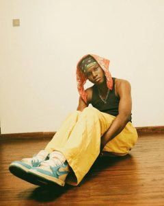 AYO MAFF BIOGRAPHY, EDUCATION, CAREER, CONTROVERSIES AND NET WORTH ...