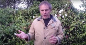 Paul Harrell Biography, Education, Career, Controversies, And Death ...