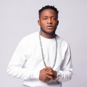 Dizmo Biography, Education, Career, Controversies, And Net Worth ...